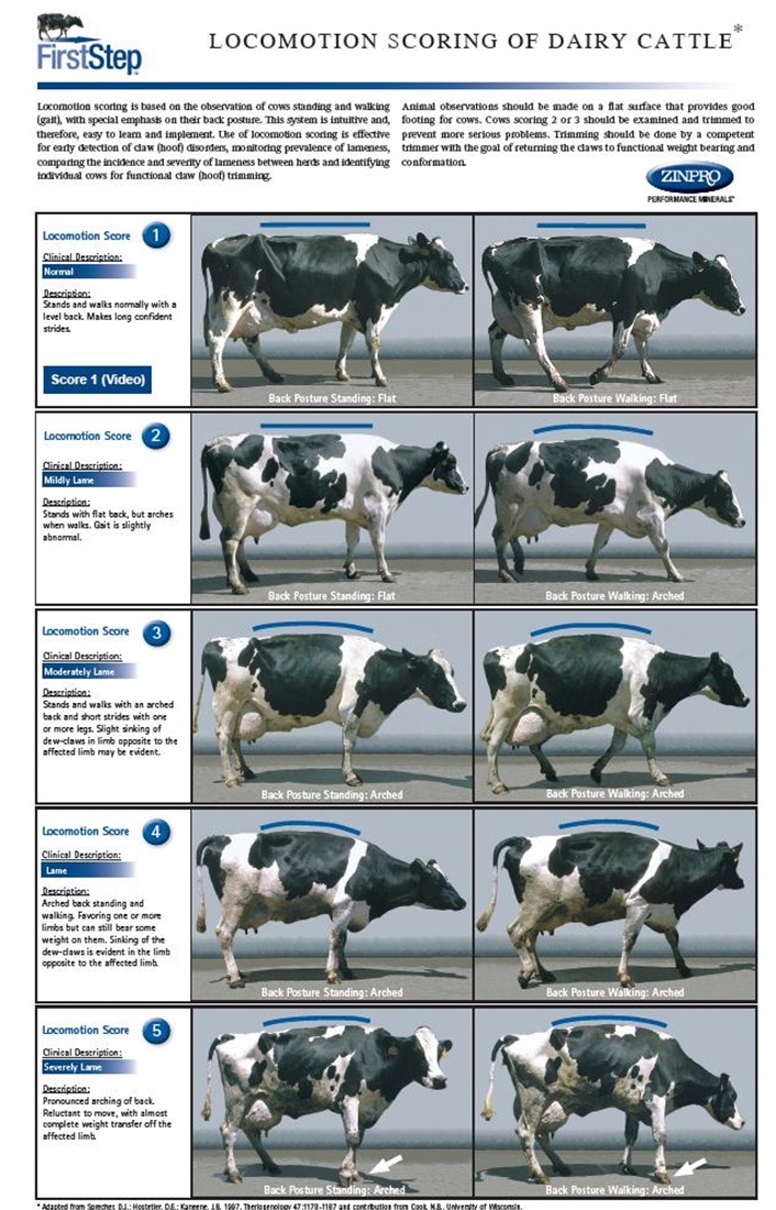 IHMC Public Cmaps (3)